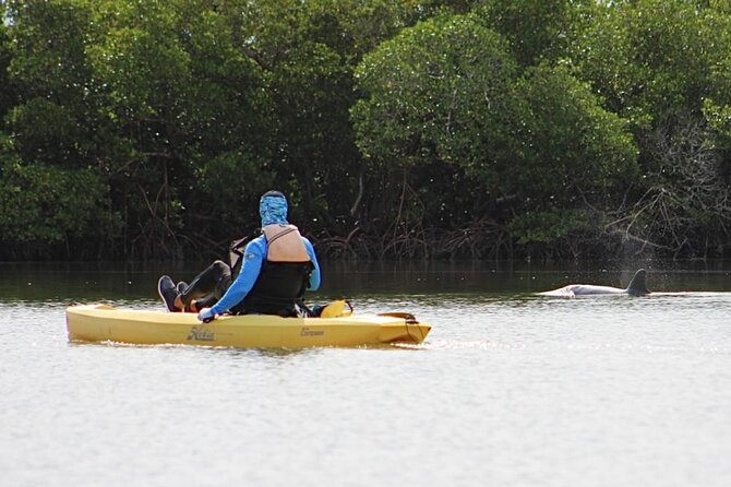 Easy Ride Pedal Kayak Tour Marco Island & Naples (Pedal or Paddle - Why This Tour Offers Great Value