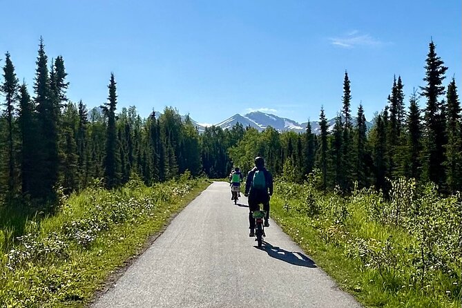 eBike Art and Trails Guided Tour of Anchorage - Who Should Book This Tour?
