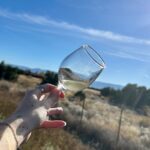 EBIKE Winery Tour in Penrose, Colorado: Penrose Uncorked - The Itinerary Breakdown – What to Expect
