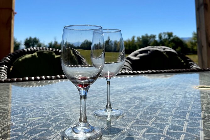 EBIKE Winery Tour in Penrose, Colorado: Penrose Uncorked - Final Thoughts: Is It Worth It?