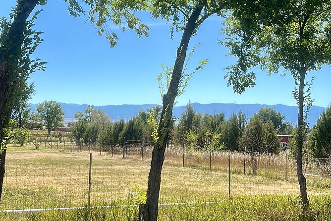 EBIKE Winery Tour in Penrose, Colorado: Penrose Uncorked - FAQ