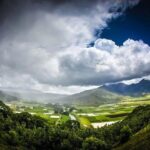 Eco-adventure friendly Aloha Island Tour - Why This Tour Stands Out