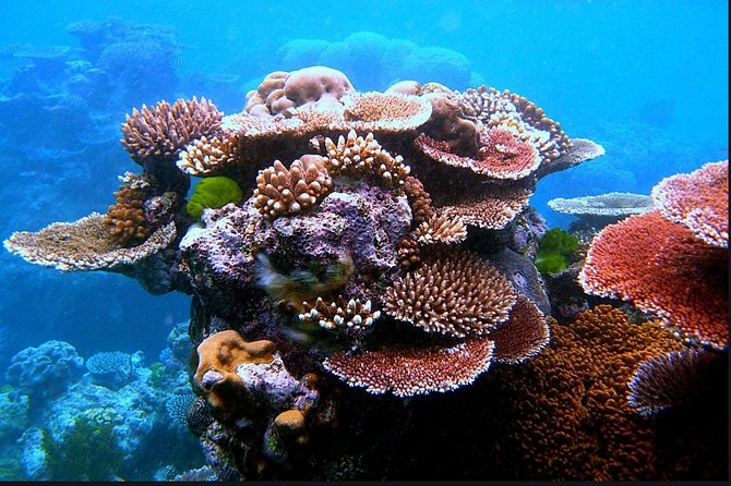 Eco Sea Scooter Guided Beach Tour From The Famous Kapalua Bay - FAQs