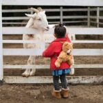 Educational Farm Adventure Tour on Bainbridge Island - Is This Tour Worth the Price?