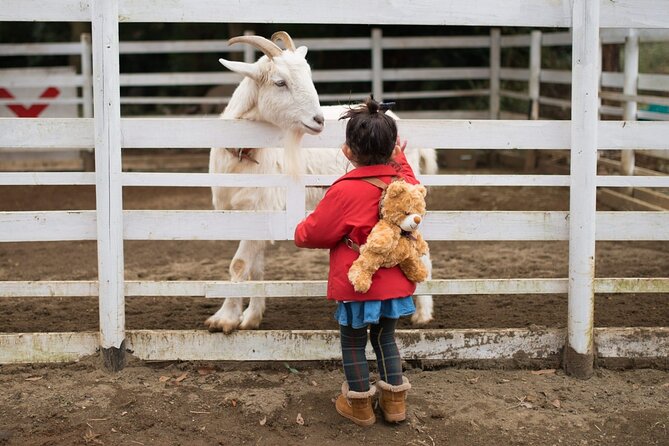 Educational Farm Adventure Tour on Bainbridge Island - Is This Tour Worth the Price?