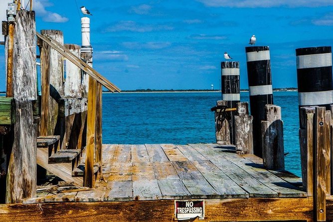 Egmont Key Snorkeling Dolphin Tour - FAQ
