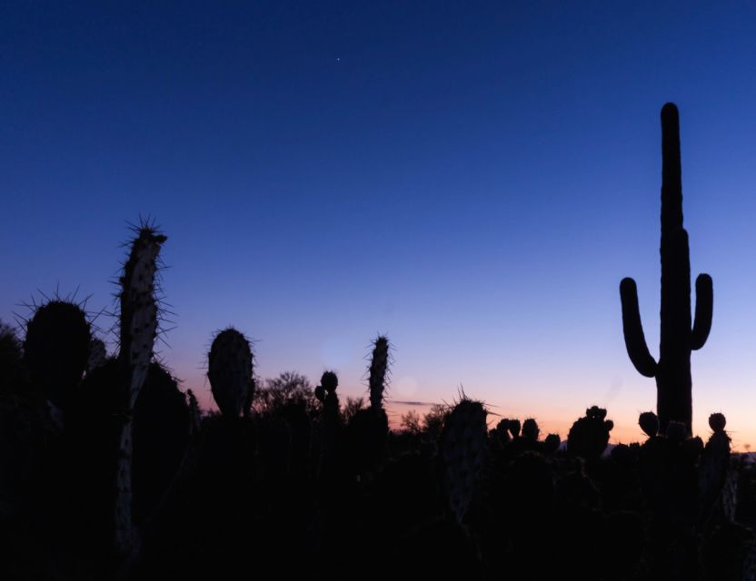 El Paso: Sun City Ghost Walking Tour - An Overview of the El Paso Ghost Tour