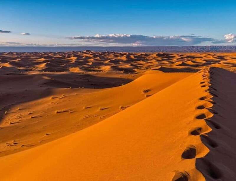 El pinacate: 4-day tour of the craters and Altar desert - An In-Depth Look at the 4-Day Tour of El Pinacate and the Altar Desert