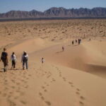 El pinacate: 4-day tour of the craters and Altar desert - Who Would Love This Tour?
