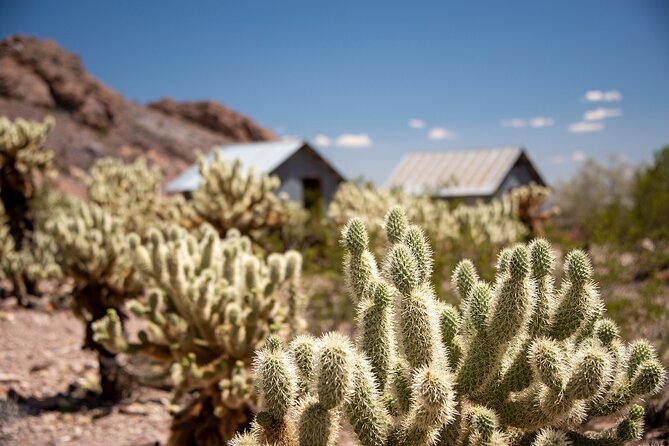Eldorado Canyon Wild West Adventure - An Authentic Nevada Experience: What the Tour Offers