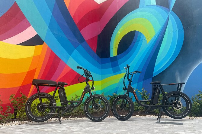 Electric Bike Day Rental - Who Would Love This Experience?