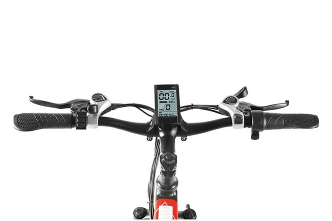 Electric Bike Rentals in New York - Why Choose Electric Bike Rentals in NYC?