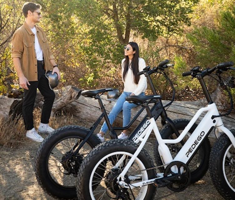 Electric Bike Rentals Leesburg, VA: Full Day or Half Day - The Sum Up