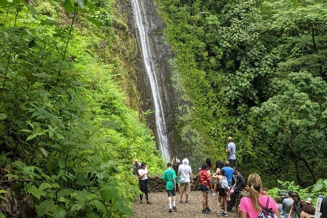 Electric Bike Ride & Manoa Falls Hike Tour - Who Will Love This Tour?
