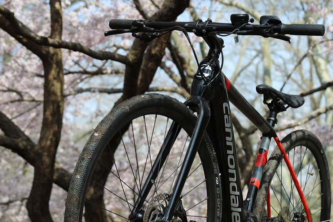 Electric Bike Tour of Manhattan and the Waterfront Greenway - Practical Considerations and Tips