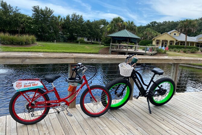 Electric Bike Tours in Amelia Island - Who Should Consider This Tour?