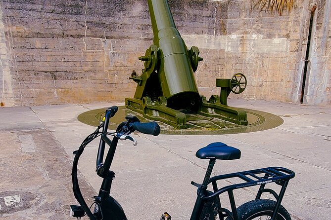 Electric Bike Wildlife & History Tour along Fort De Soto's Beaches - Key Points