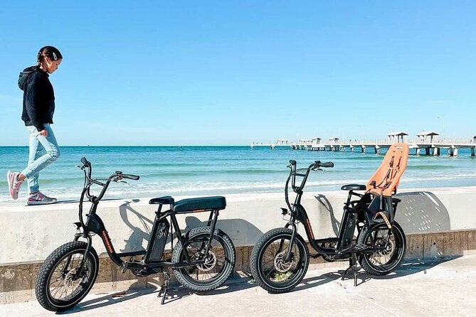 Electric Bike Wildlife & History Tour along Fort De Soto's Beaches - FAQ