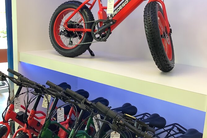 Electric Bikes Rental in Dunedin - Why Choose the Dunedin Electric Bike Tour?