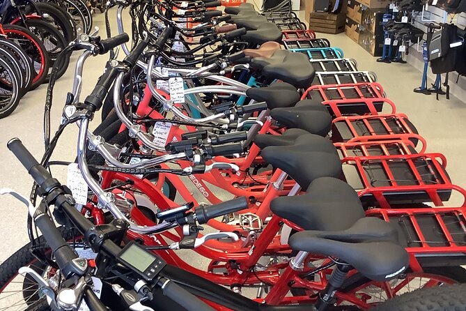 Electric Bikes Rental in Dunedin - What to Expect During Your Ride
