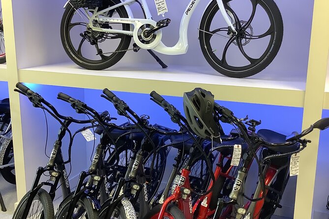Electric Bikes Rental in Dunedin - Authentic Experiences and Genuine Feedback