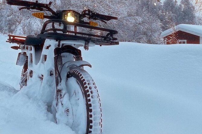 Electric Dirtbike Adventure in Lake Tahoe - What Makes This Electric Dirtbike Tour Stand Out?