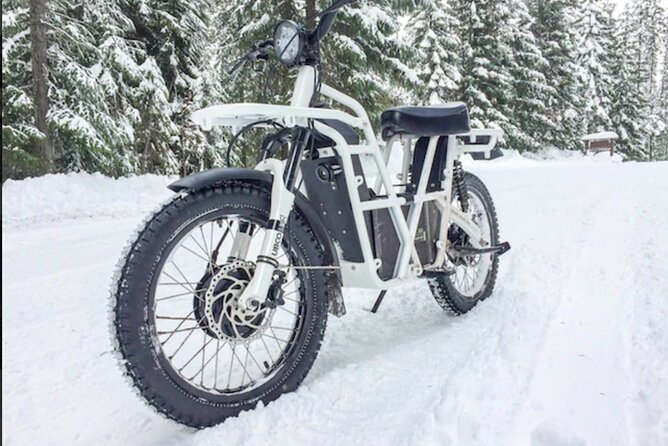 Electric Dirtbike Adventure in Lake Tahoe - What to Expect from the Experience
