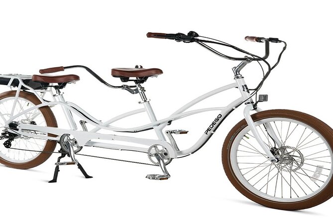 Electric Tandem Bike Rental in South Beach - Key Points
