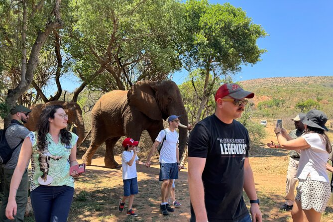 Elephant & Monkey Sanctuary Tour from Johannesburg - Key Points