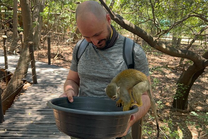Elephant & Monkey Sanctuary Tour from Johannesburg - Stop 2: Bush Babies Monkey Sanctuary