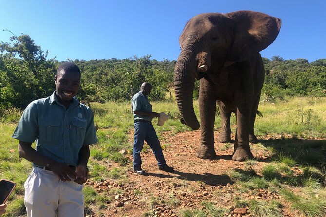 Elephant & Monkey Sanctuary Tour from Johannesburg - Practical Details: What to Expect