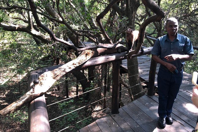 Elephant & Monkey Sanctuary Tour from Johannesburg - Authentic Experiences and Review Highlights