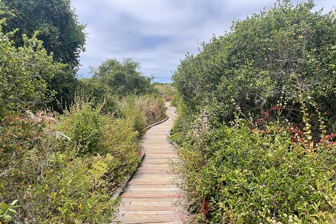 Elfin Forest Nature Tour with Local Sweet and Savory Tasting - Exploring the Elfin Forest with a Local Tasting Experience