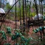 Elijay Hike w/ Waterfall & Wine Tasting Private Tour from ATL - Scenic Drive to Blue Ridge