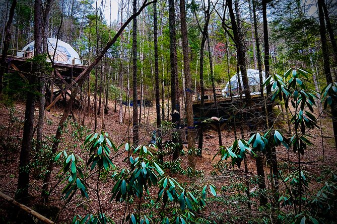 Elijay Hike w/ Waterfall & Wine Tasting Private Tour from ATL - Scenic Drive to Blue Ridge