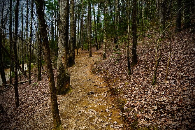 Elijay Hike w/ Waterfall & Wine Tasting Private Tour from ATL - Vineyard & Orchard Experiences