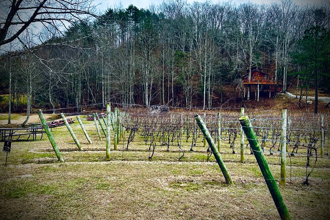 Elijay Hike w/ Waterfall & Wine Tasting Private Tour from ATL - Downtown Blue Ridge & Local Dine & Shop