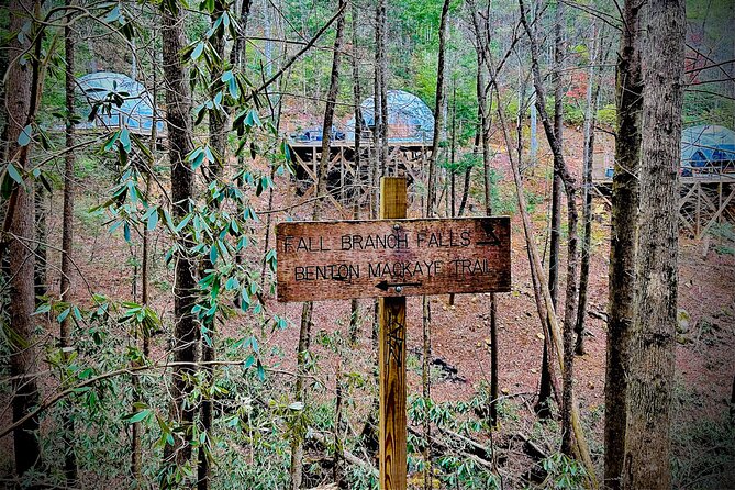 Elijay Hike w/ Waterfall & Wine Tasting Private Tour from ATL - Final Thoughts: Who’s This Tour For?
