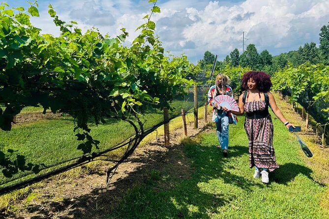 Elijay Three Vineyards Private Wine Tasting Tour from Atlanta - Introduction