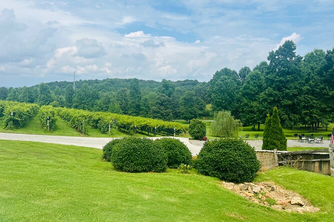 Elijay Three Vineyards Private Wine Tasting Tour from Atlanta - Exploring North Georgia’s Wine Scene: A Closer Look