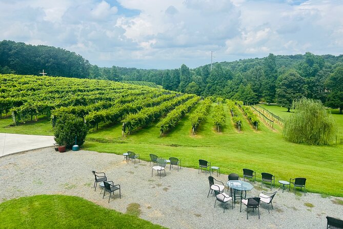 Elijay Three Vineyards Private Wine Tasting Tour from Atlanta - Who Will Love This Tour?