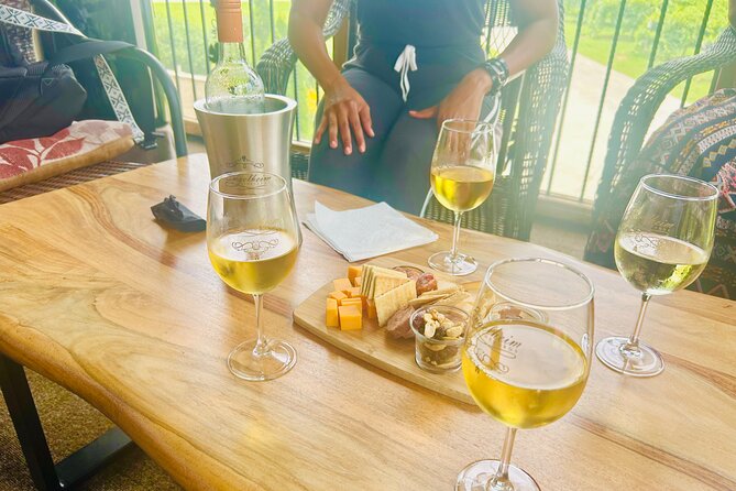 Elijay Three Vineyards Private Wine Tasting Tour from Atlanta - The Sum Up