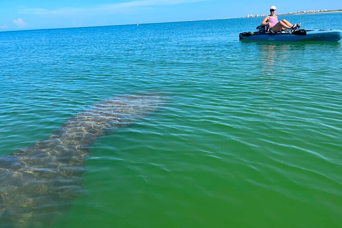 Elite Hobie Kayak Experience: Ultimate Premium Eco Adventure! - Key Points