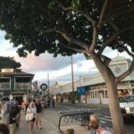 Elite Private Tour - Authentic Experiences and Traveler Insights