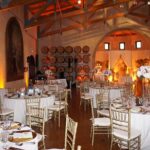 Embark on an Epic Muir Woods and Wine Country Adventure! - What Makes This Tour Stand Out?
