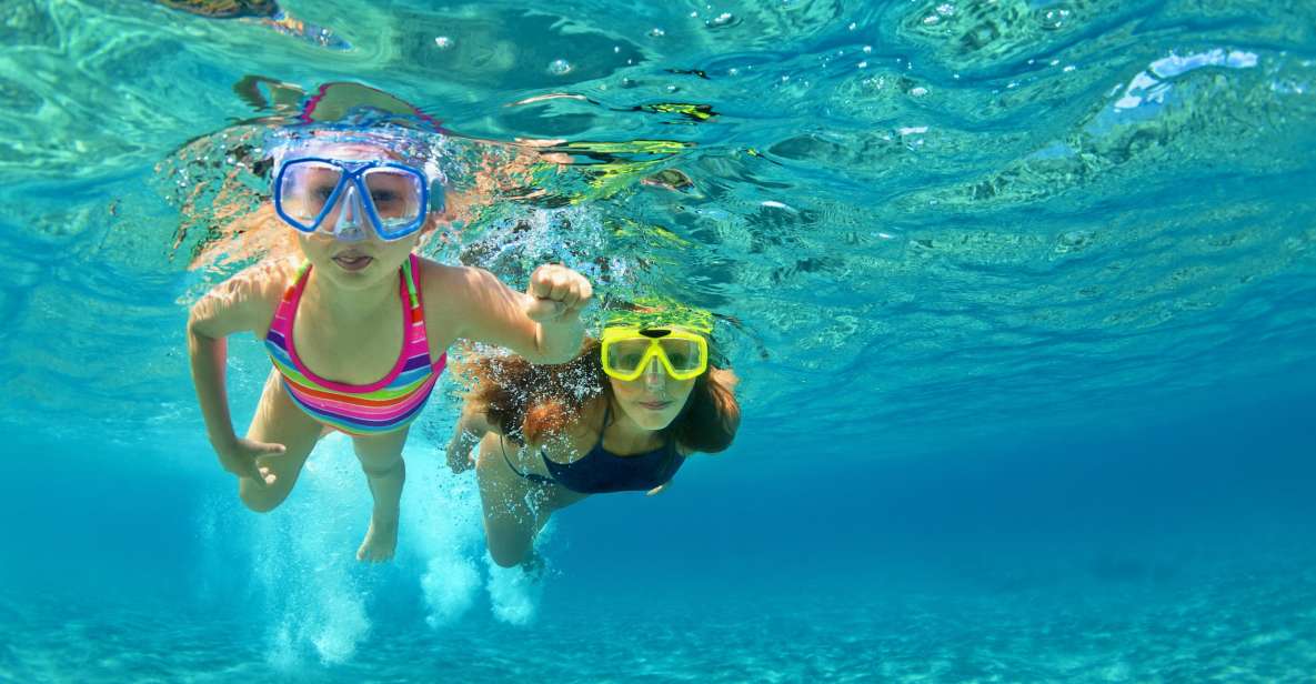 Emerald Coast: Afternoon Snorkel & Dolphin Tour - Key Points