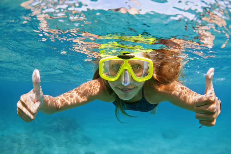 Emerald Coast: Afternoon Snorkel & Dolphin Tour - What Makes This Tour Stand Out?
