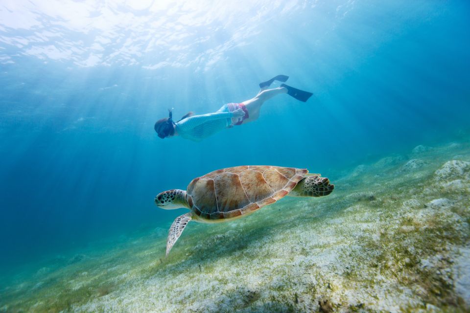 Emerald Coast: Afternoon Snorkel & Dolphin Tour - Real Experiences from Travelers