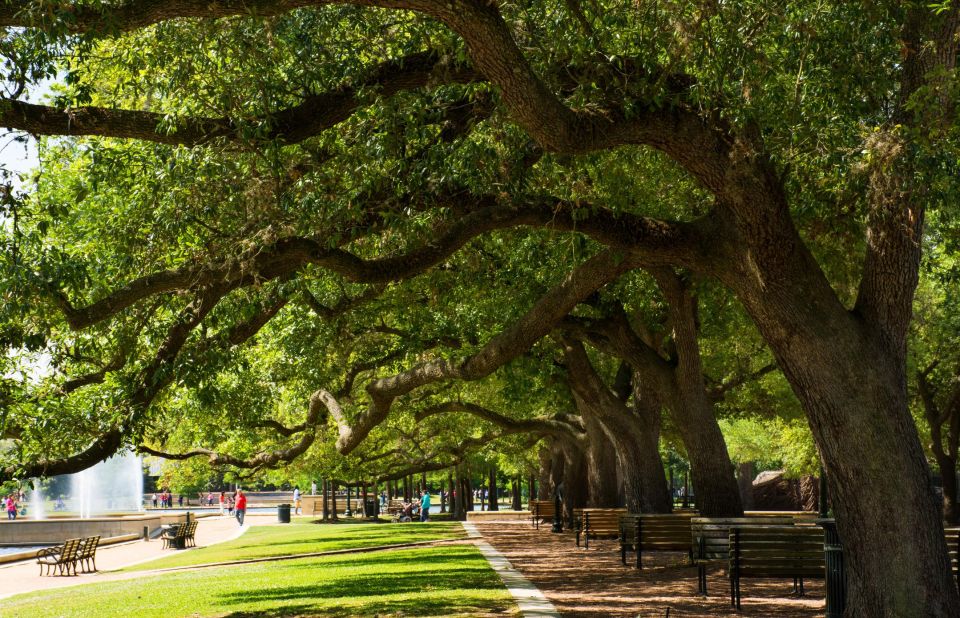 Enchanting Houston: A Romantic Urban Adventure - Who Would Enjoy This Tour Most?