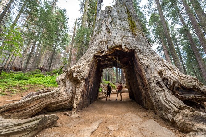 Enchanting Yosemite National Park Tour from San Francisco - Yosemite’s Iconic Landmarks: Half Dome, El Capitan, and Bridalveil Falls